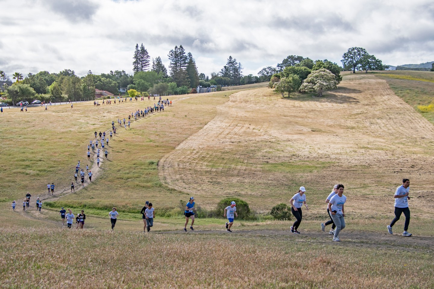 Los Altos Hills Pathways Run/Walk | A fun, challenging trail run/walk ...